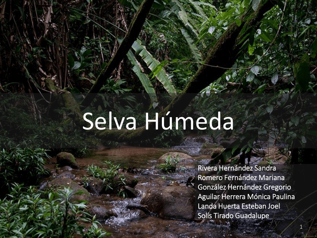 Selva Humeda