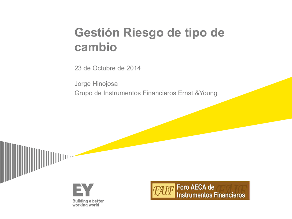 Gestión Riesgo de tipo de cambio