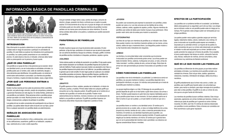 información básica de pandillas criminales
