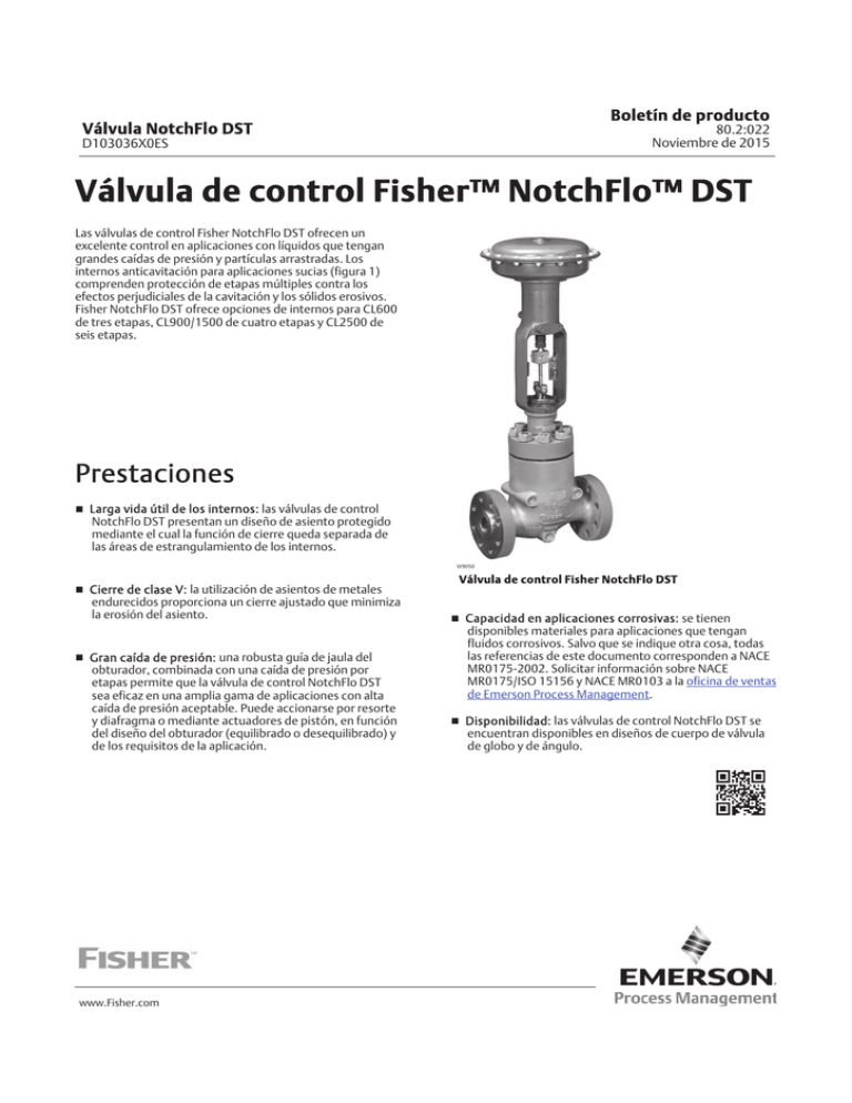 Válvula de control Fisher™ NotchFlo™ DST