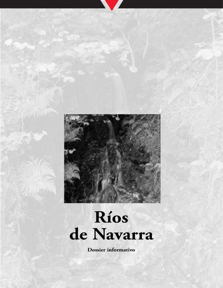 Ríos de Navarra