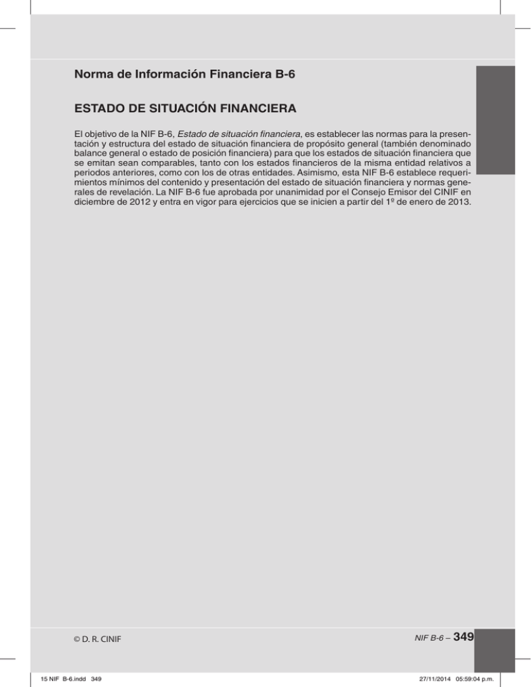 Norma de Información Financiera B