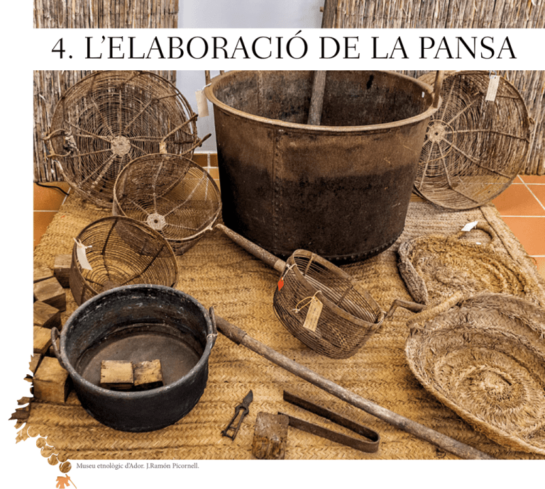 El procés d`elaboració de la pansa