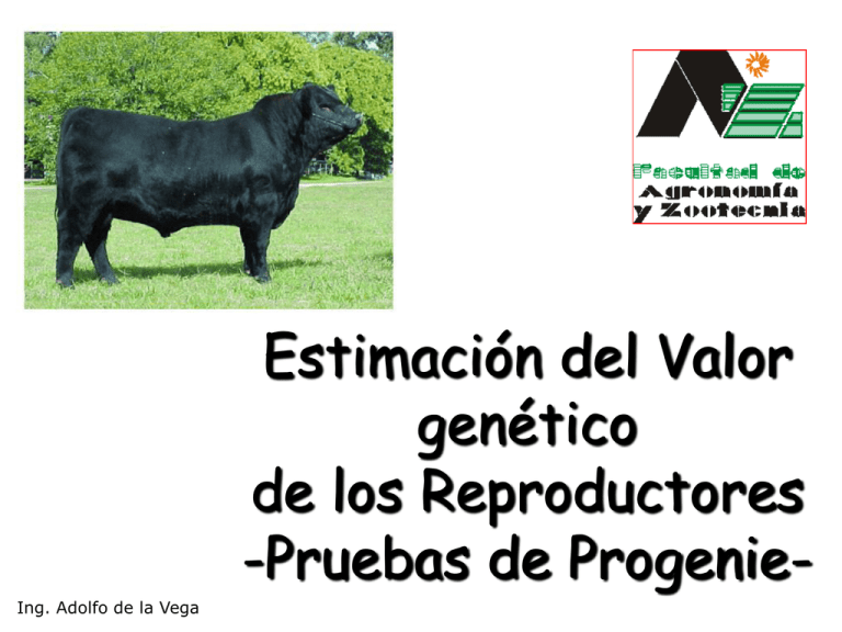 870007455.Valor genetico y Pruebas de progenie