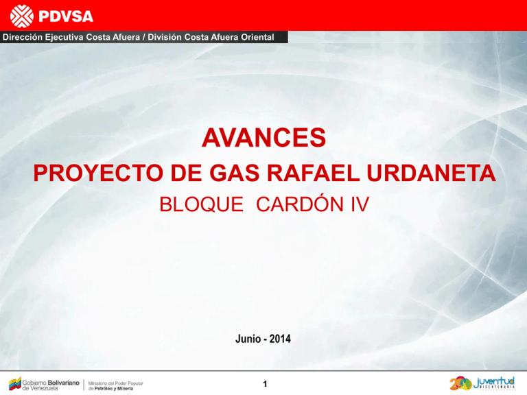 Proyecto Gas Rafael Urdaneta: Avances Bloque Cardón IV