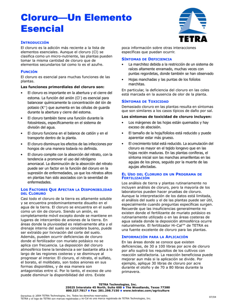 Cloruro—Un Elemento Esencial