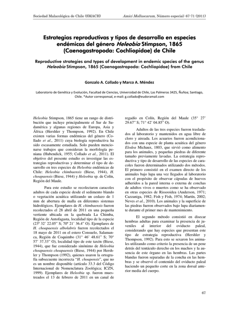 Estrategias reproductivas y tipos de desarrollo en especies