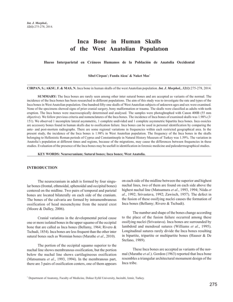 Inca Bone in Human Skulls of the West Anatolian Populatıon