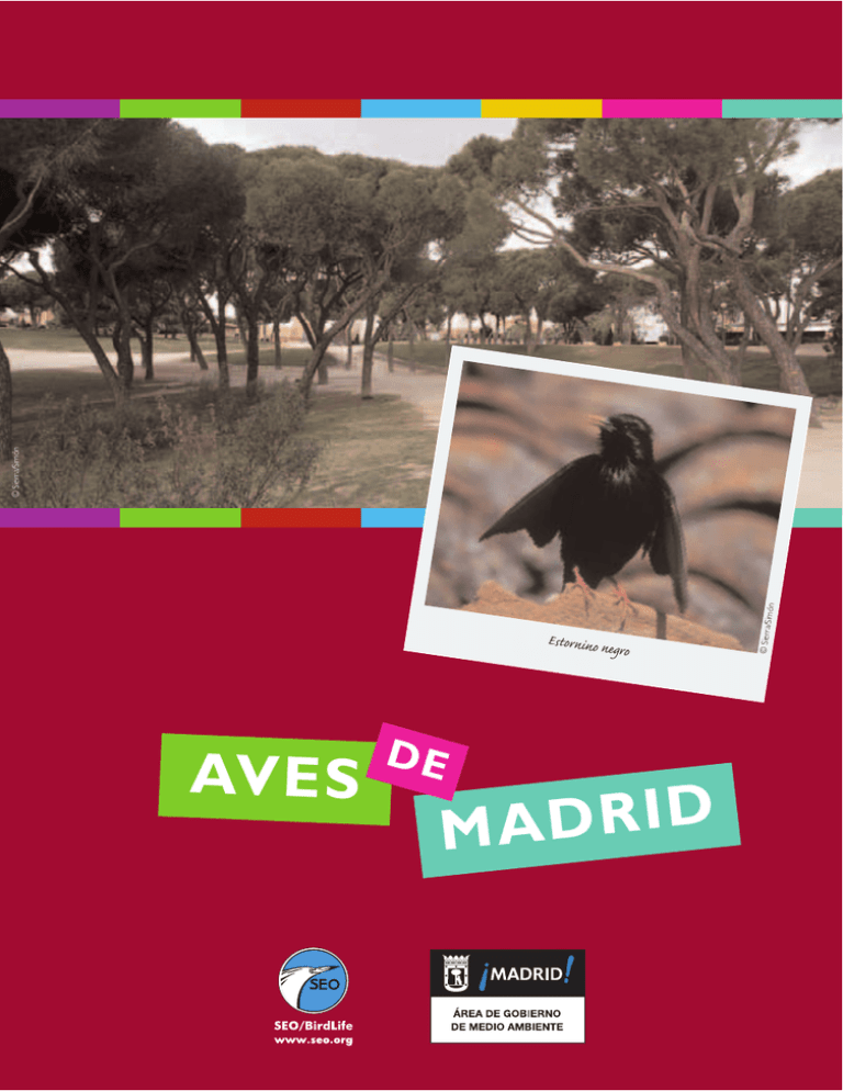 Aves de Madrid - Ayuntamiento de Madrid