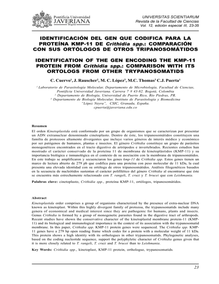 IDENTIFICACIÓN DEL GEN QUE CODIFICA PARA LA PROTEÍNA