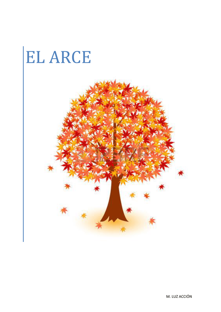 el arce americano