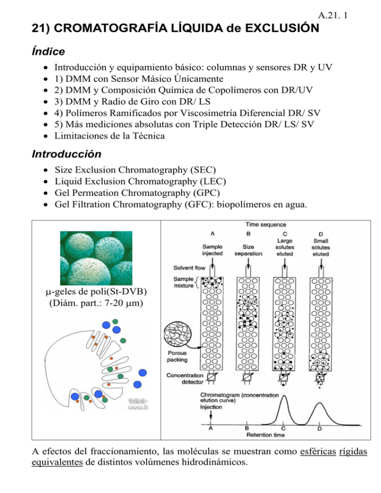 21) CROMATOGRAFÍA LÍQUIDA de EXCLUSIÓN