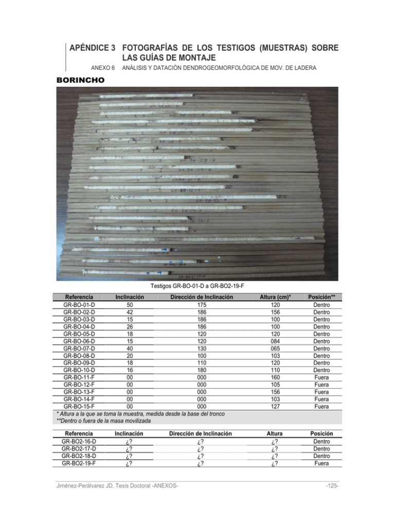 APÉNDICE 3 FOTOGRAFÍAS DE LOS TESTIGOS (MUESTRAS