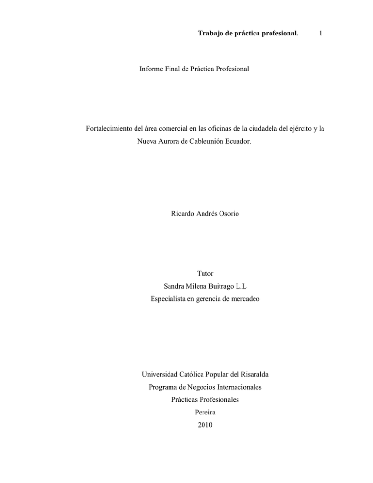 Informe Final de Práctica Profesional