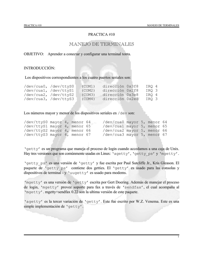 manejo de terminales