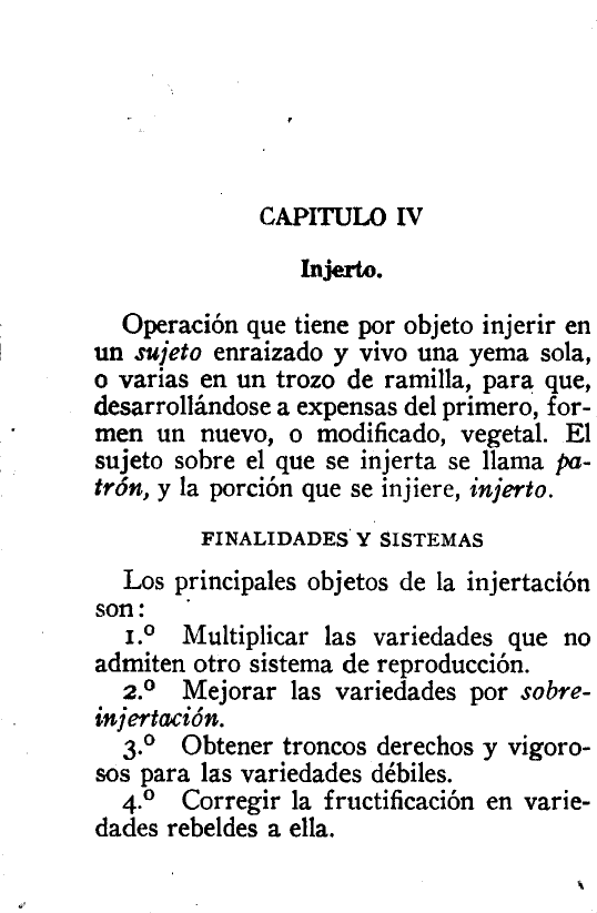 Capítulo IV. Injerto