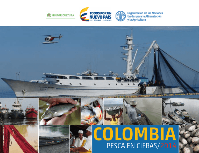 pesca en cifras/2014