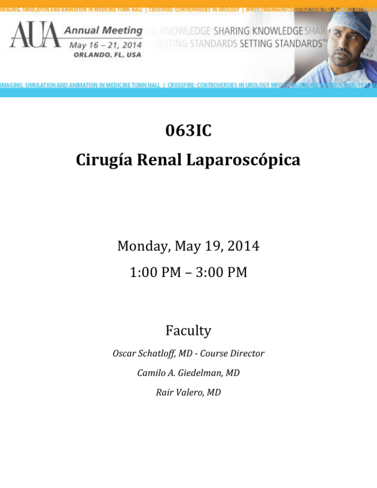 063IC Cirugía Renal Laparoscópica