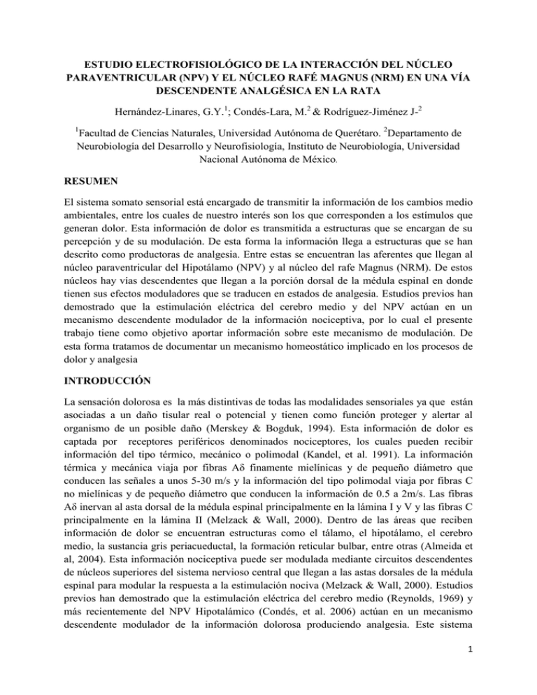 y el núcleo rafé magnus (nrm) - Universidad Autónoma de Querétaro