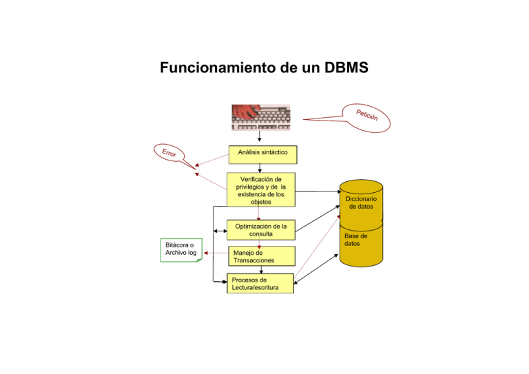 Funcionamiento de un DBMS
