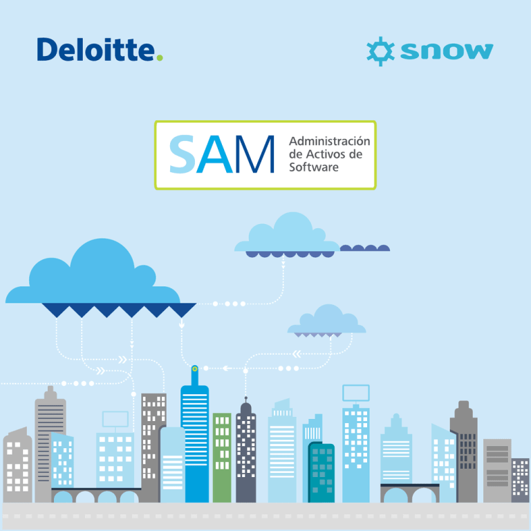 Administración de Activos de Software (SAM)