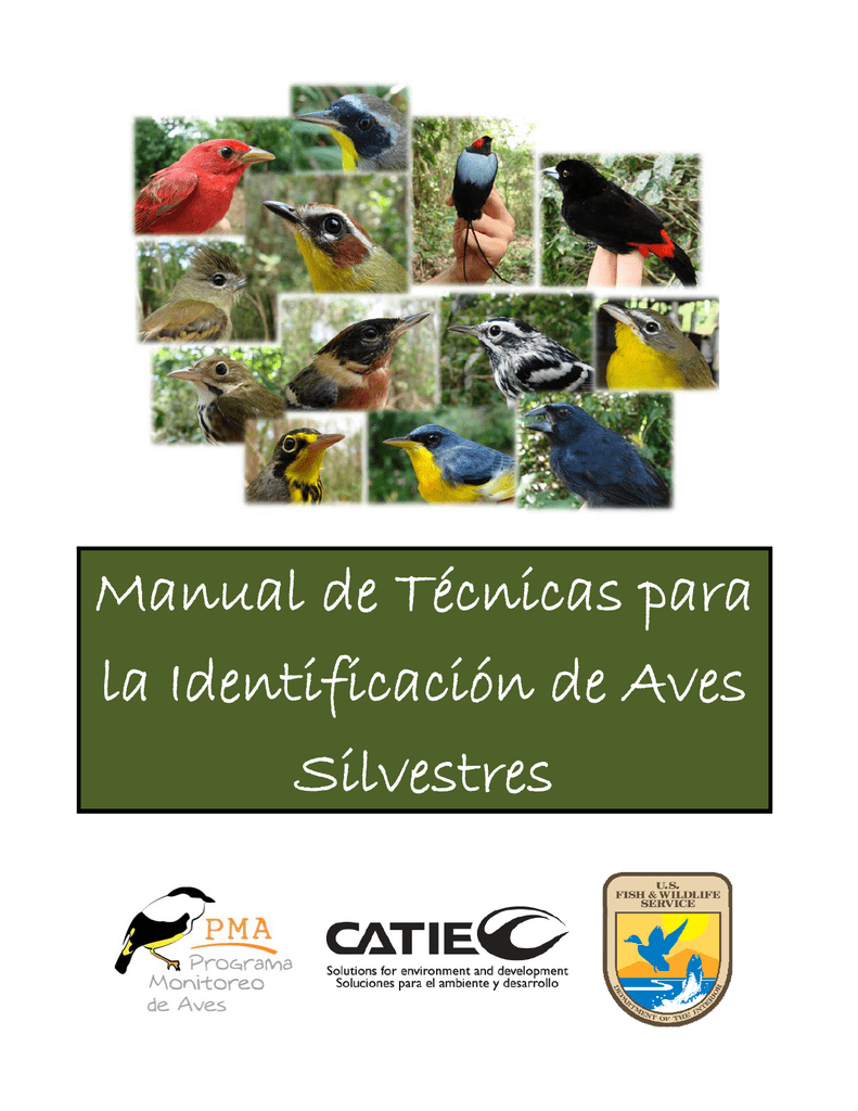Manual de Técnicas para la Identificación de Aves Silvestres