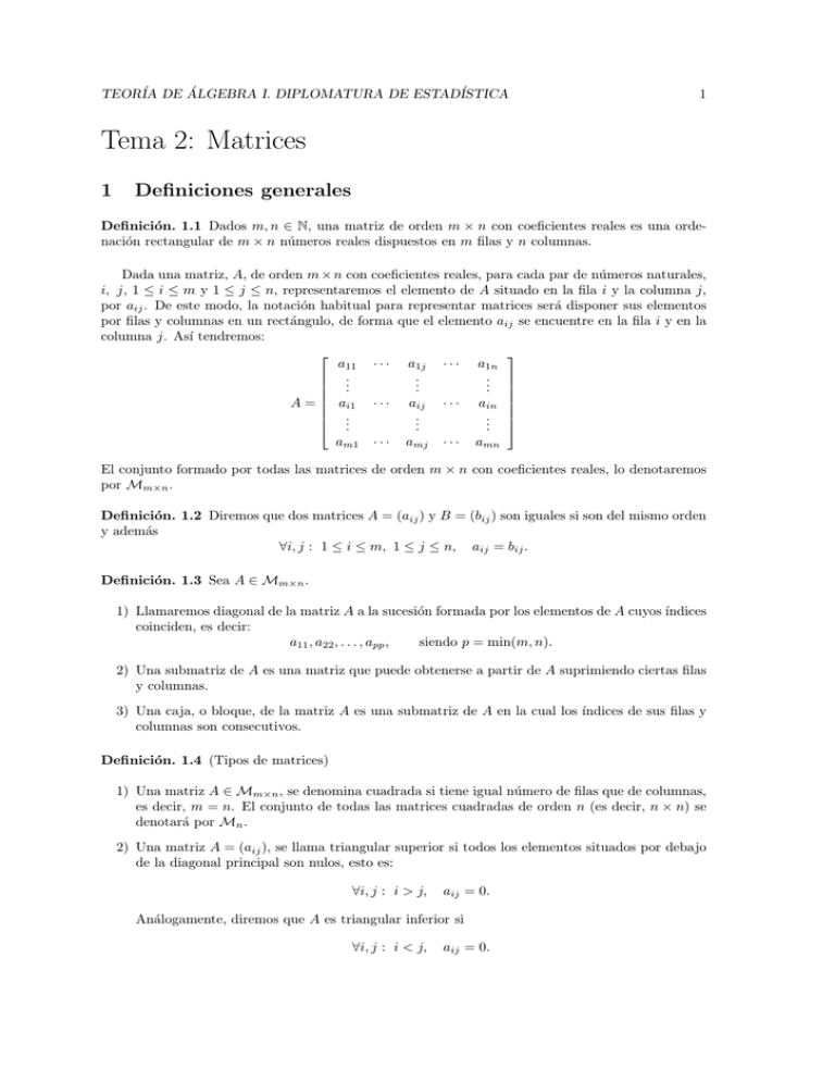 Tema 2: Matrices