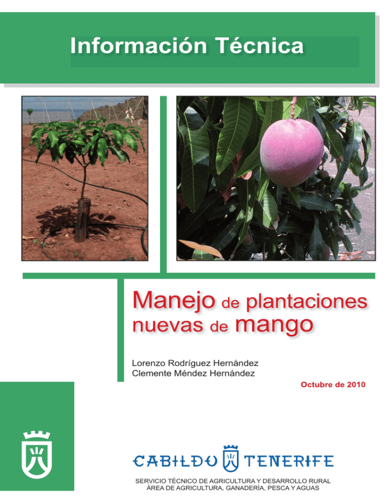 Información Técnica