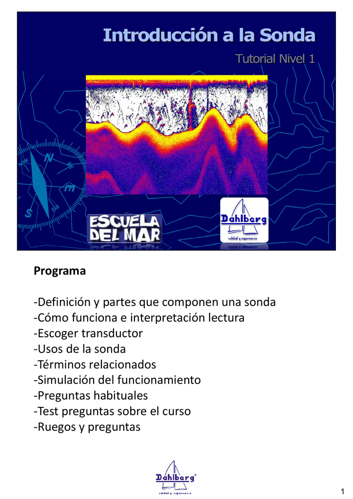Programa -Definición y partes que componen una sonda