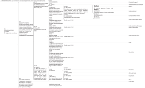 Ficha Tecnica Botin Valtor