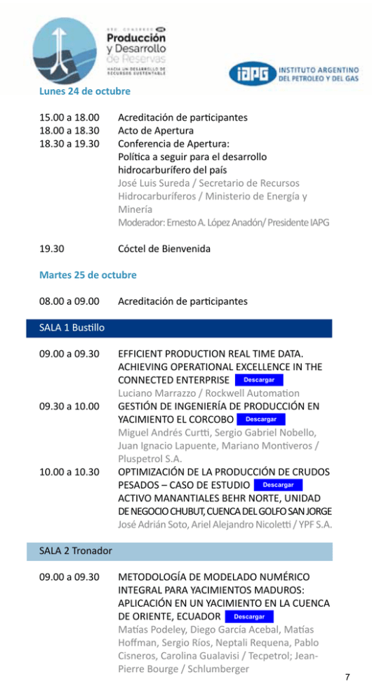 Programa Técnico - Instituto Argentino del Petroleo y del Gas
