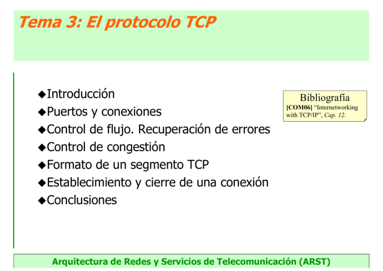 Transmission Control Protocol (TCP)
