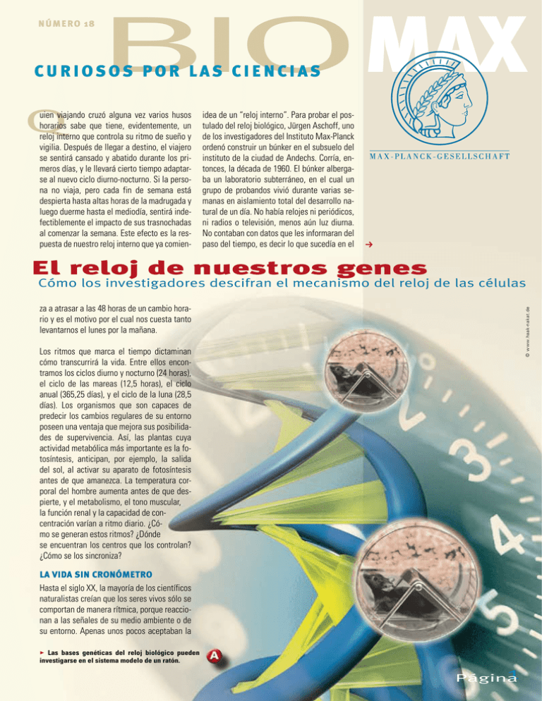 el reloj de nuestros genes - Max
