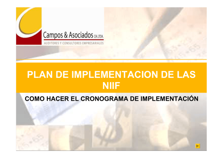 PLAN DE IMPLEMENTACION DE LAS NIIF