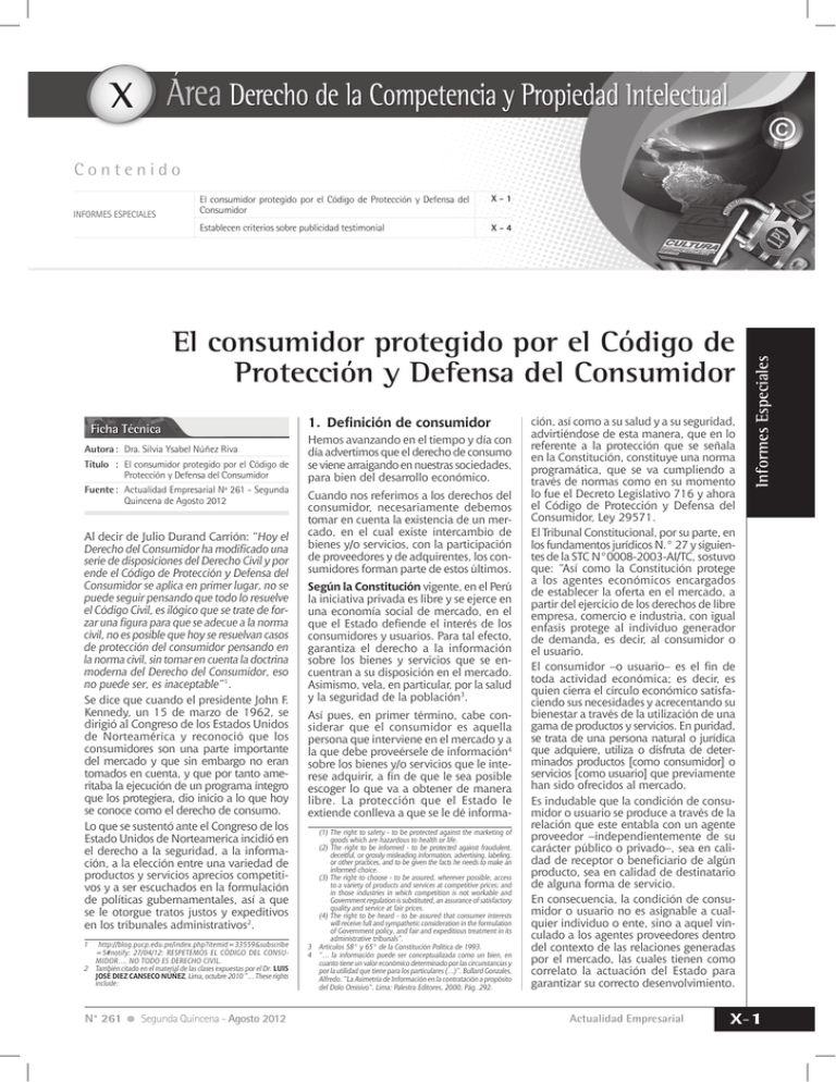 El consumidor protegido por el Código de Protección y Defensa del