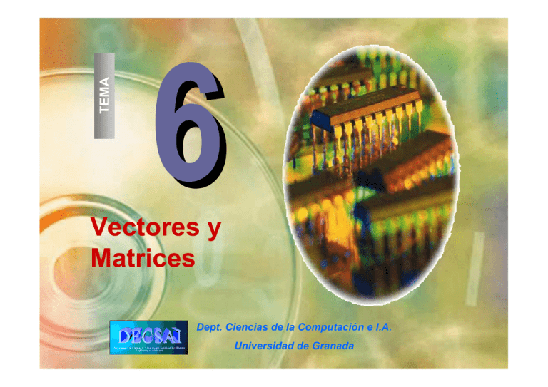 Vectores y Matrices