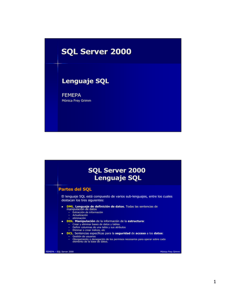 SQL Server 2000 - 07 Lenguaje SQL