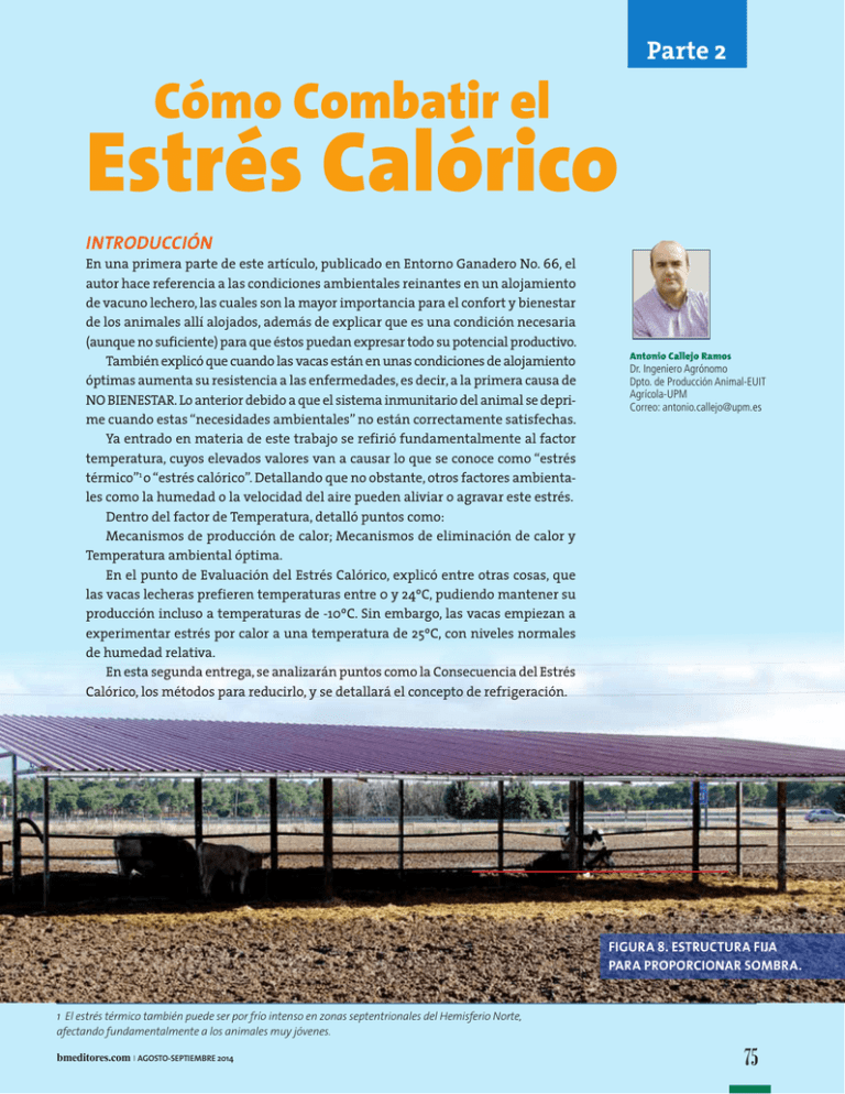 Estrés Calórico