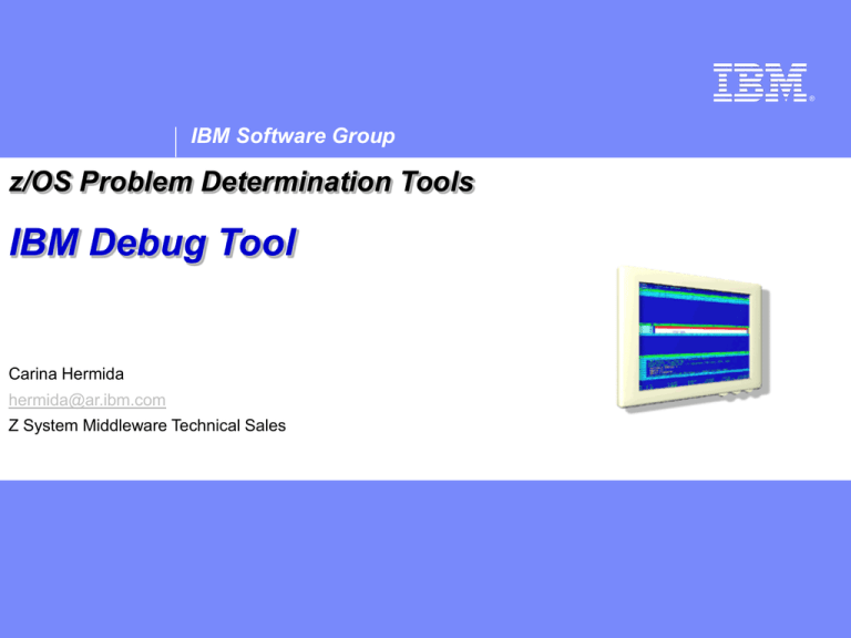 DT Interactive Debug Execute MFI