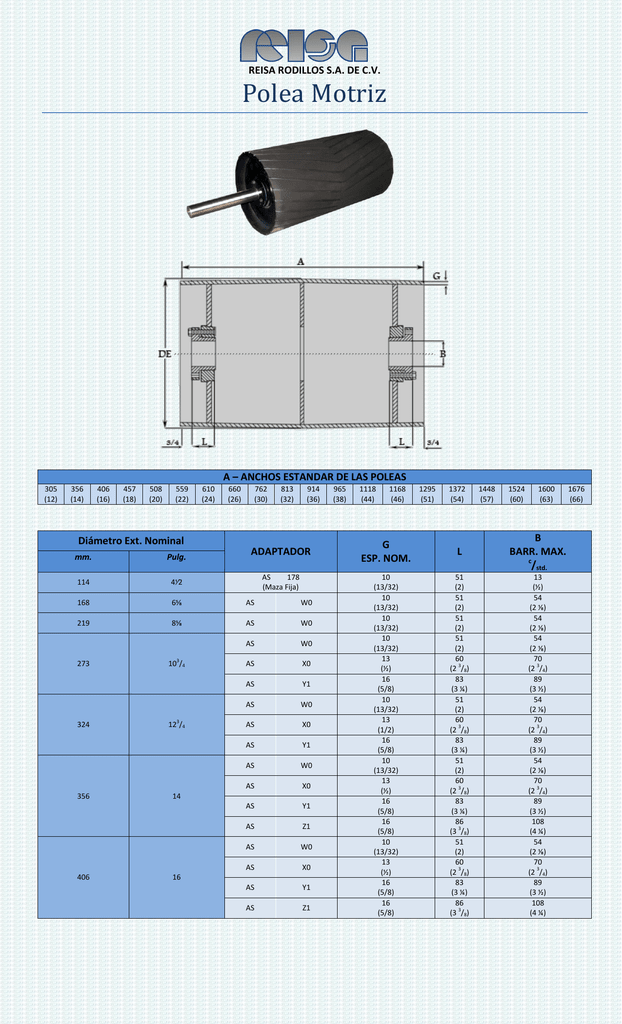 Polea Motriz - Reisa Rodillos
