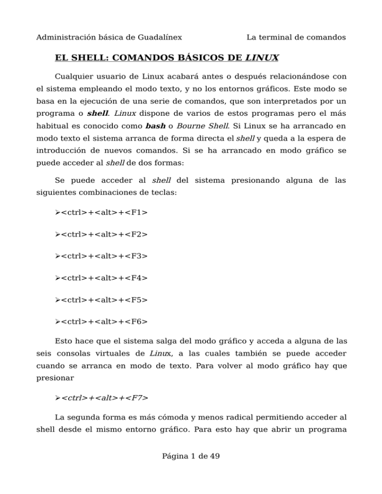 EL SHELL: COMANDOS BÁSICOS DE LINUX