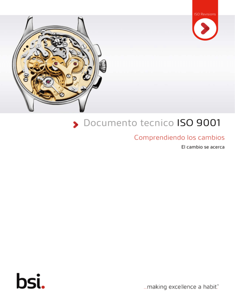Documento tecnico ISO 9001