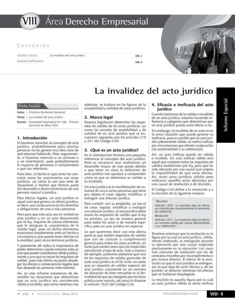VIII La invalidez del acto jurídico