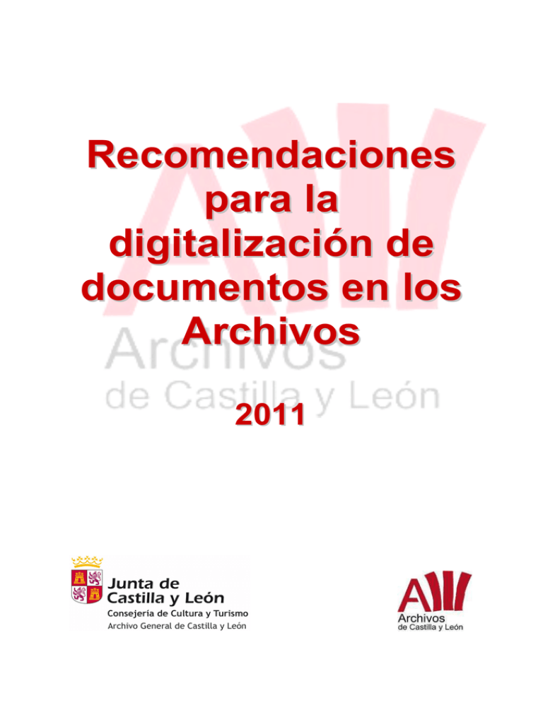 Recomendaciones para la digitalización