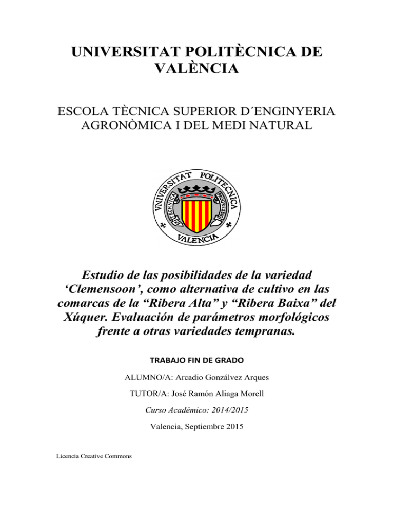 universitat politècnica de valència