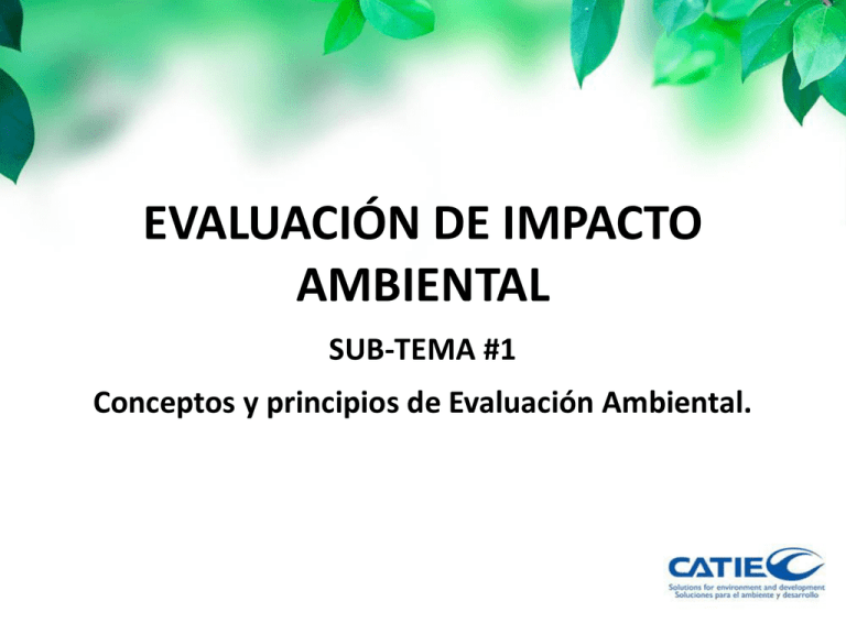 Impacto Ambiental