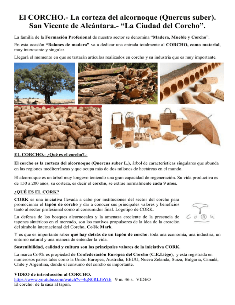 El CORCHO.- La corteza del alcornoque (Quercus suber). San