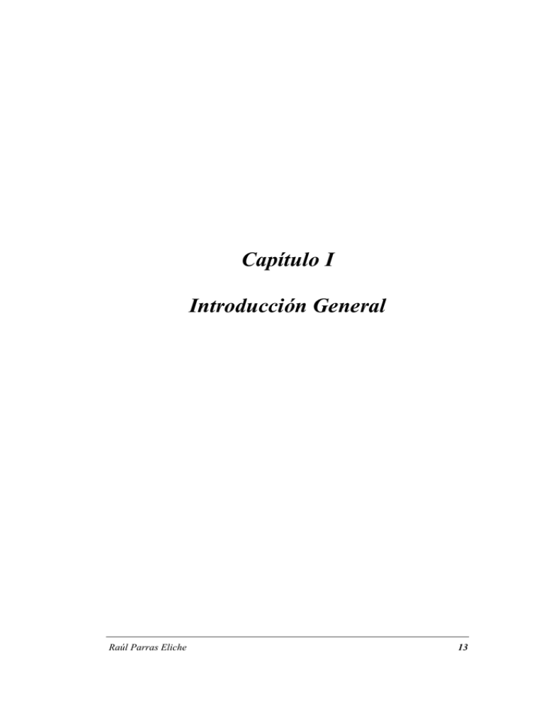 Capítulo I Introducción General