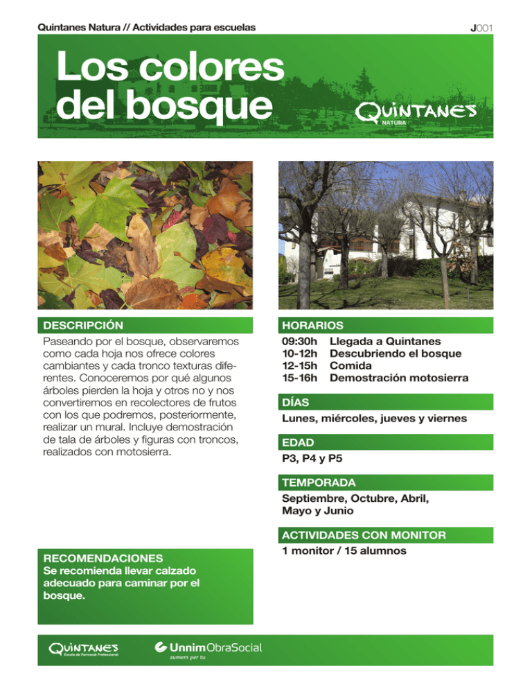 Los colores del bosque
