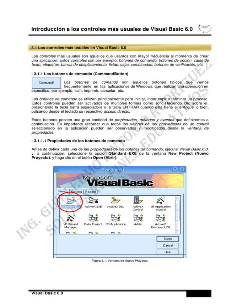 Visual Basic 6.0: Controles Comunes y Botones de Comando